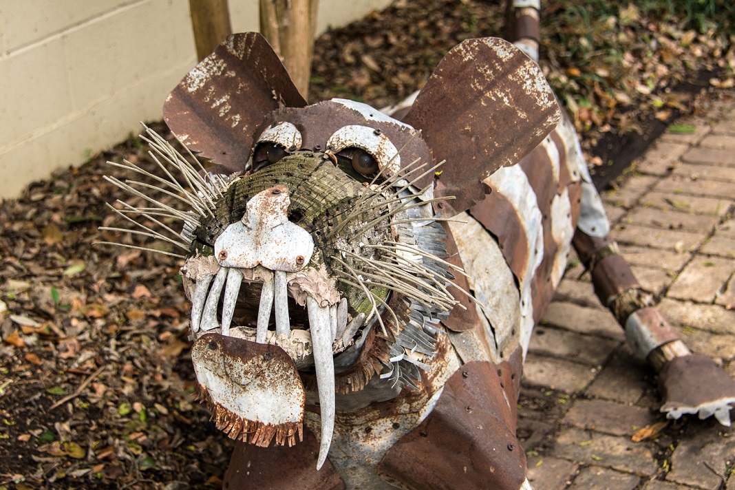 Snaggle Tooth Tiger | It's a long story