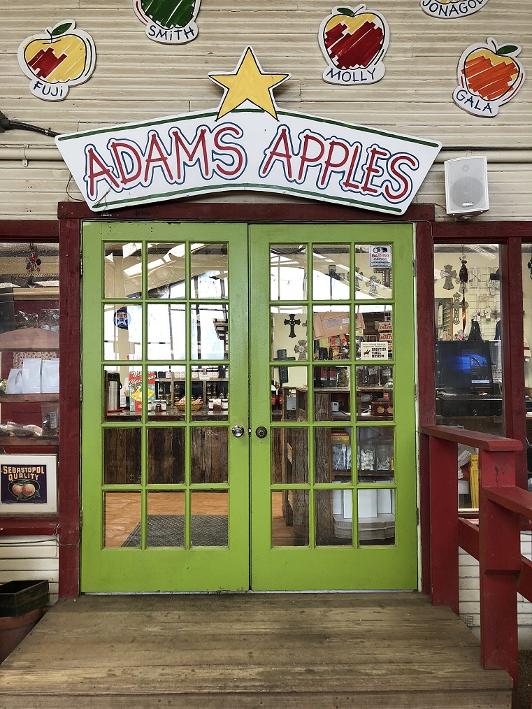 The Apple Store Patio Cafe | It's a long story