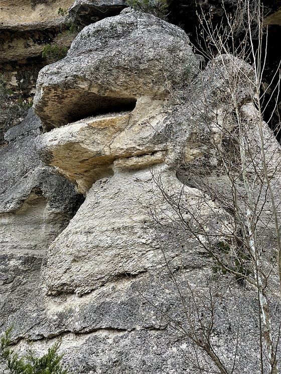 Monkey Rock | It's a long story