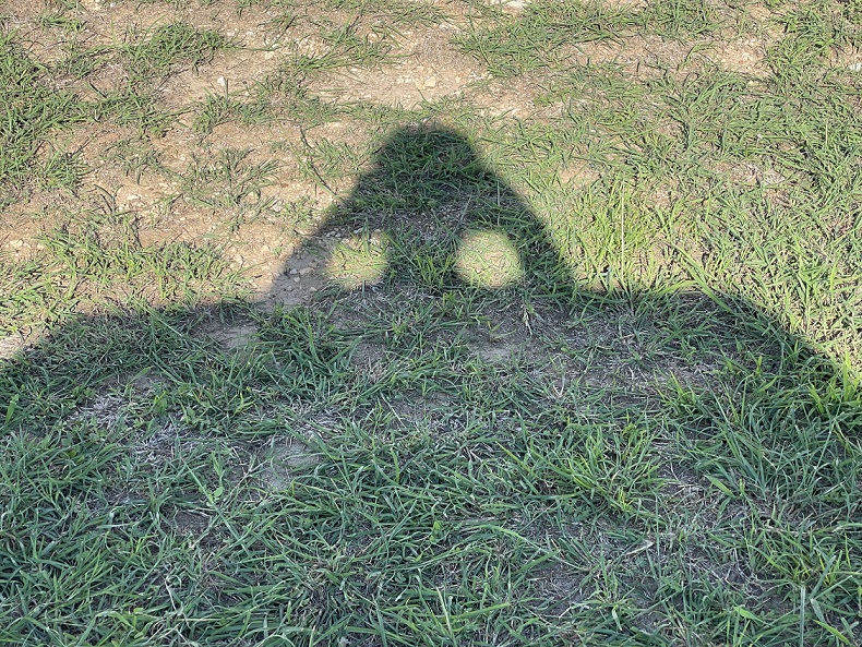 Shadow Play | It's a long story