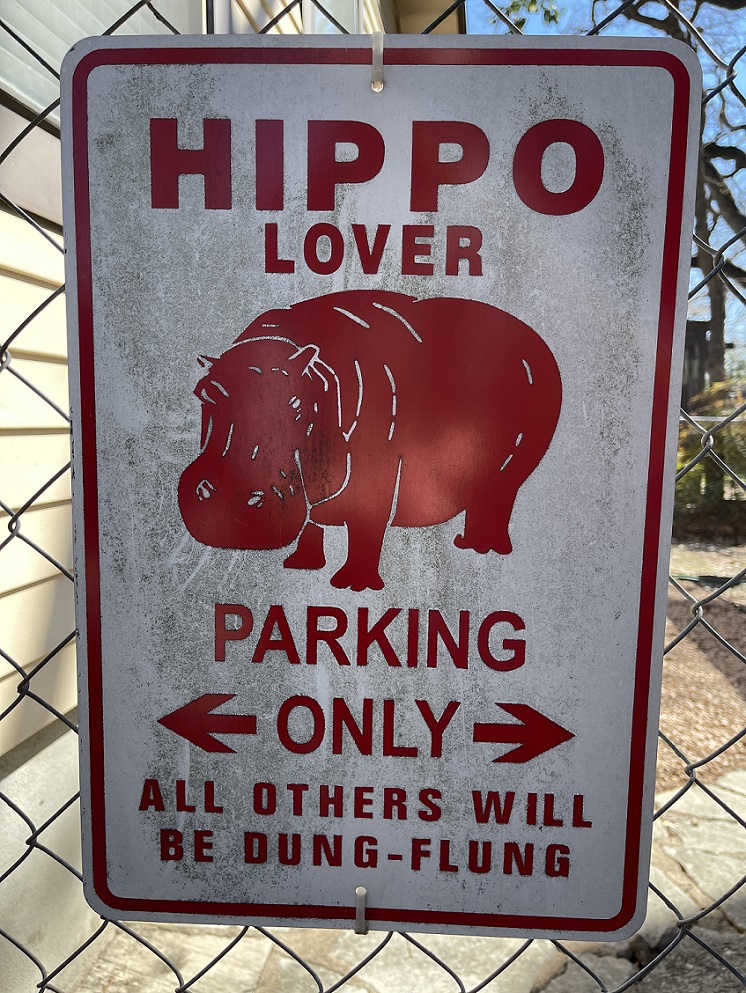 Hippo Lover | It's a long story