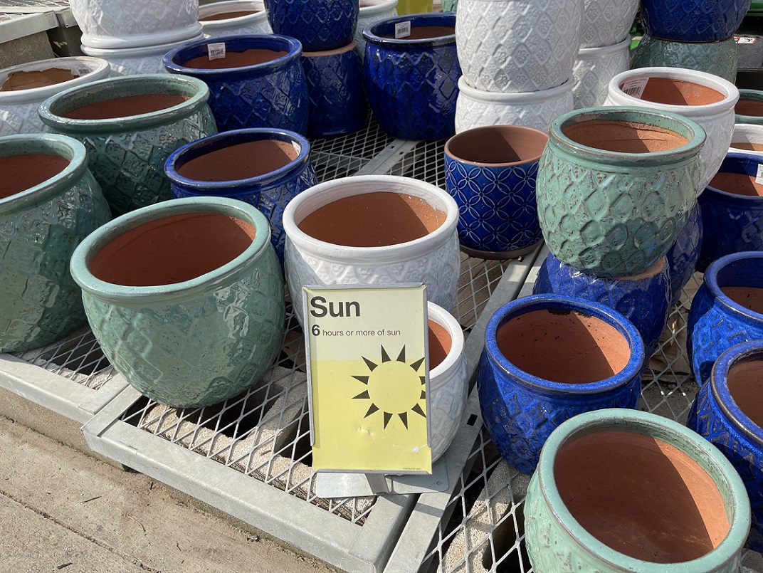Six Hours of Sun Needed | It's a long story
