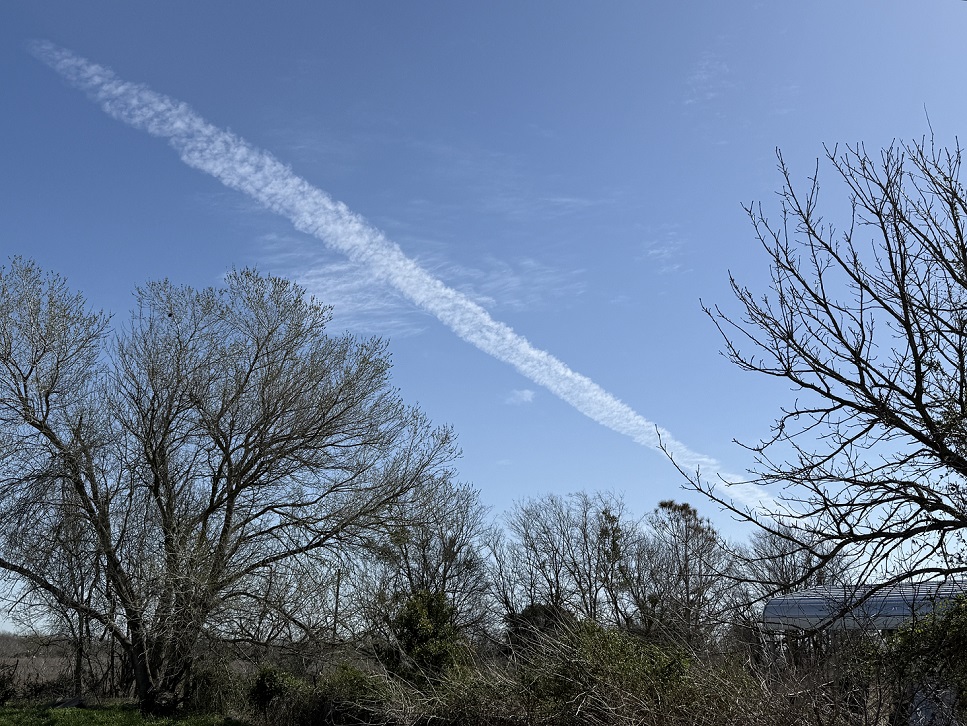 Path Across the Sky | It's a long story